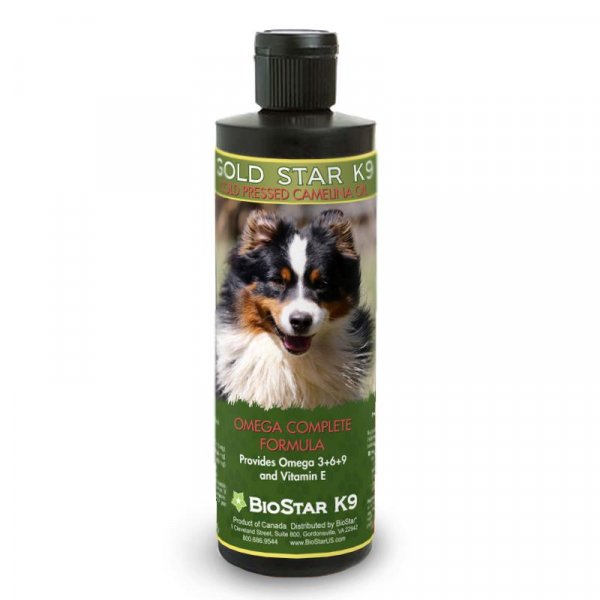 Biostar Gold Star K9 Camelina Seed Oil Formula for Dogs and Horses 16 ...